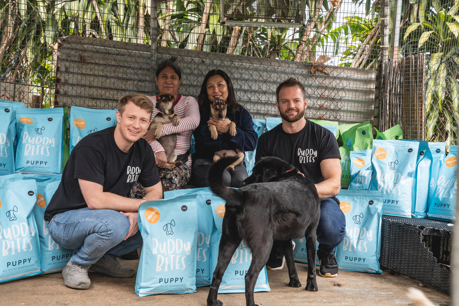 Vet-Approved Dog Food for All Breeds | Buddy Bites – Buddy Bites HK