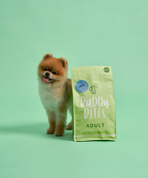 Buddy Bites 成犬鴨肉乾狗糧 – Buddy Bites HK