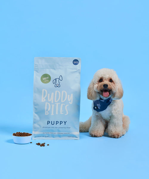 Buddy Bites 幼犬乾狗糧 – Buddy Bites HK