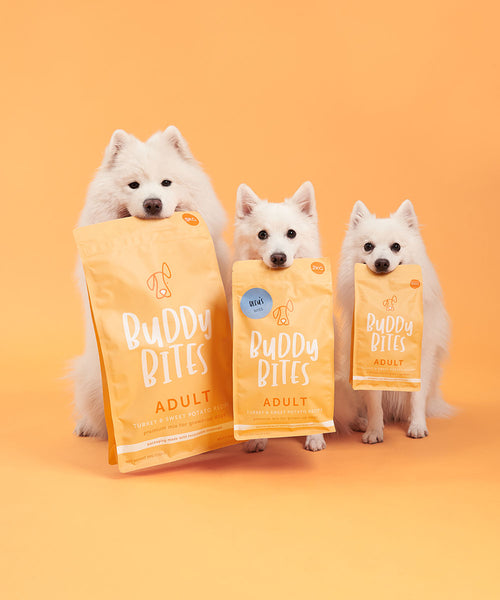 Buddy Bites成犬火雞甜薯乾狗糧 – Buddy Bites HK